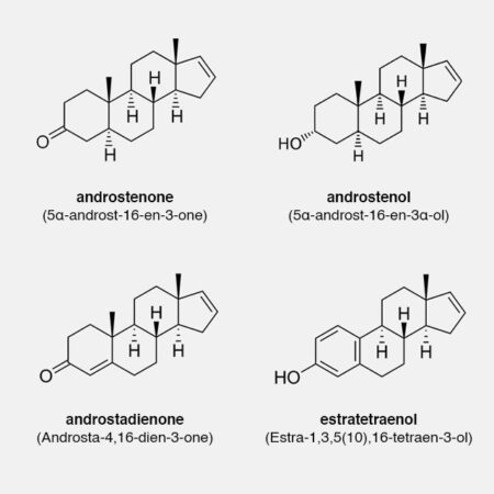 How pheromones work? - Single Pheromones™